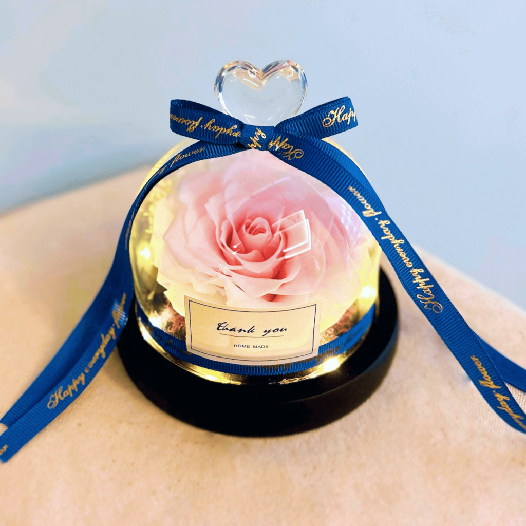 Baby Pink Preserved Flower Dome - Blissbies SG