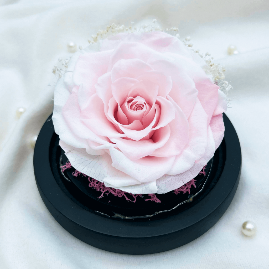 Baby Pink Preserved Flower Dome - Blissbies SG